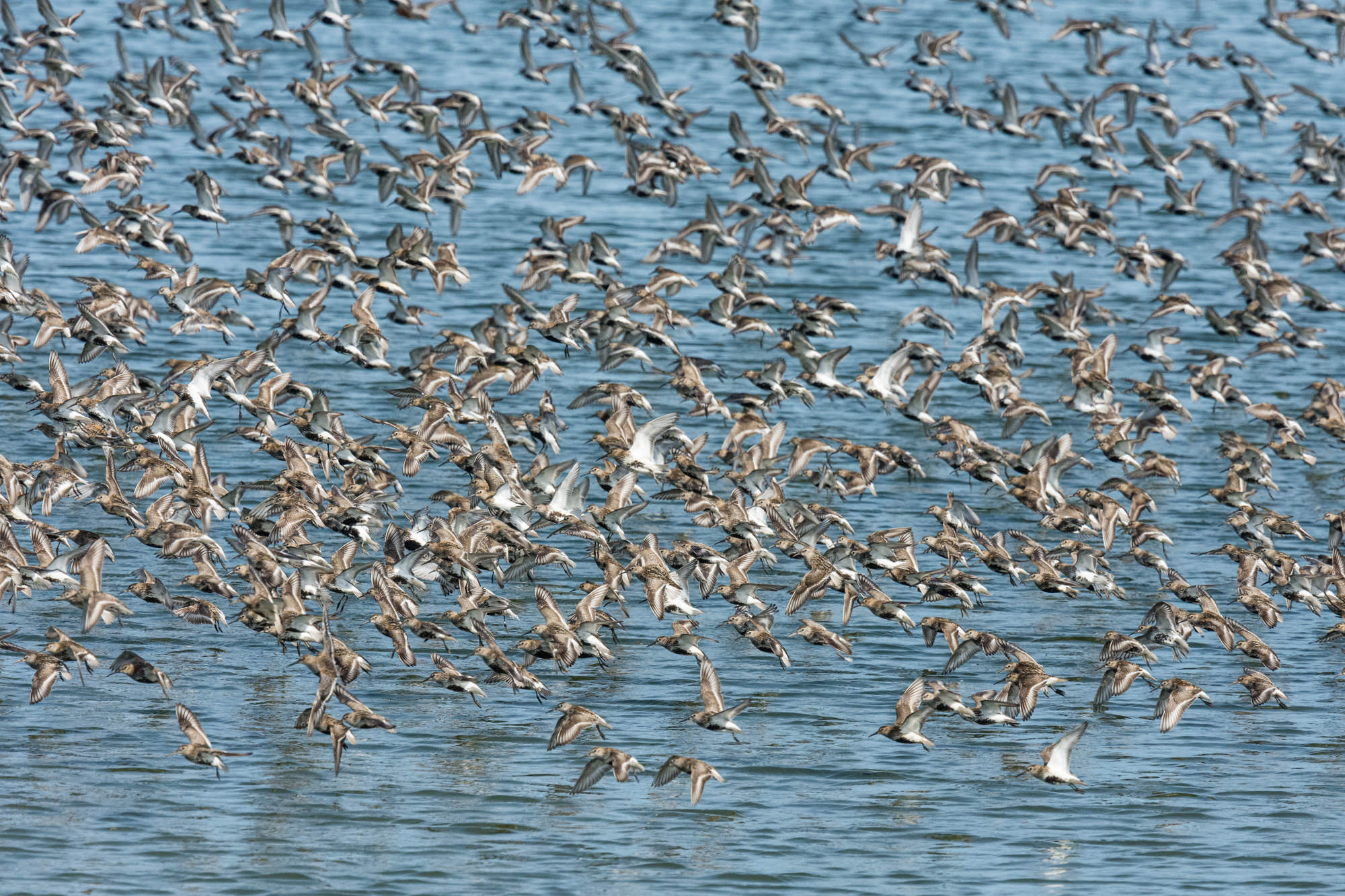 Trans-Norfolk bikepacking, F2C. Part 1: Thetford to Cley | The Slow Lens